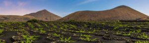 Incontournables des Canaries : 10 lieux à ne pas manquer - Explore-Canaries